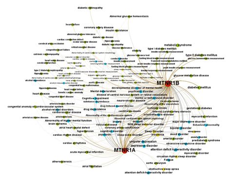Knowledge Network Visualization Graph Combining Heterogeneous Download Scientific Diagram