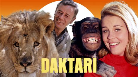 6 Things You Never Knew About Daktari The 1966 Adventure Series