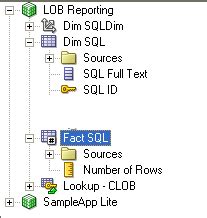 Oracle BI EE G Reporting On CLOBs Lookups