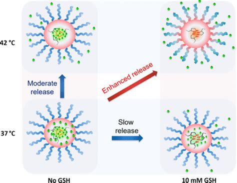 Reversible Cross Linked Thermoresponsive Polycaprolactone Micelles For