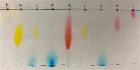 Solved I Need Help Calculating The Distanced Travelled By