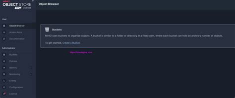 Minio Installation On Ubuntu 2404 With Nginx Proxy Cloudspinx