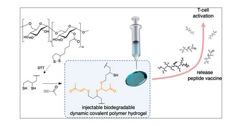Dynamic Covalent Dextran Hydrogels As Injectable Self Adjuvating Peptide Vaccine Depots Acs