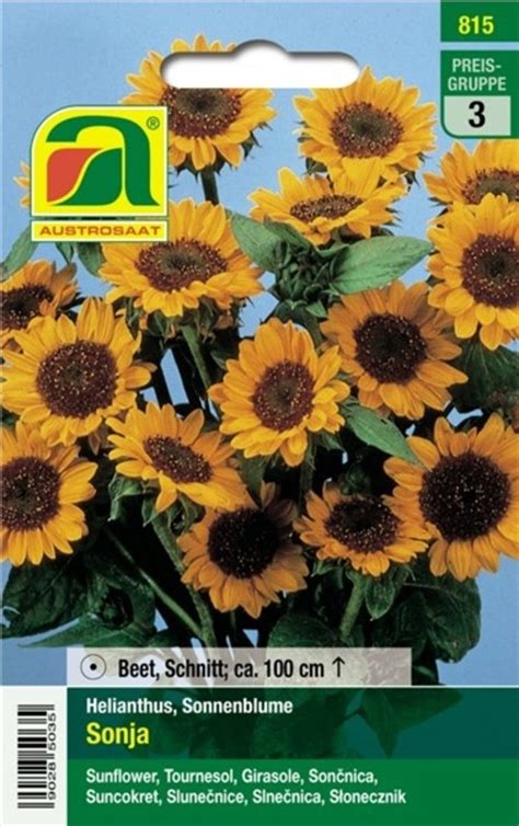 Austrosaat Sunflowers Sonja Mixture 1 Package Bloomling Switzerland