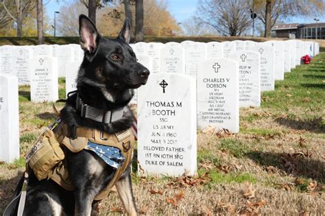 Joe Booth On Linkedin “earn This Earn It” This Memorial Day As We