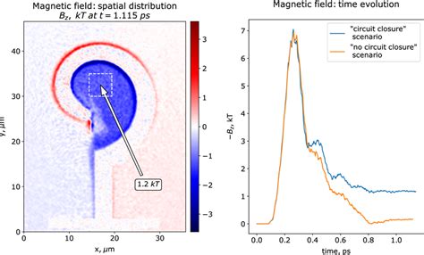 Results Of 2d Pic Simulations Left Panel Spatial Distribution Of