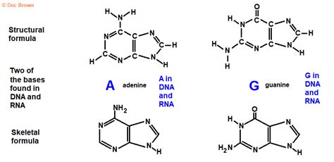 Guanine Molecular Structure