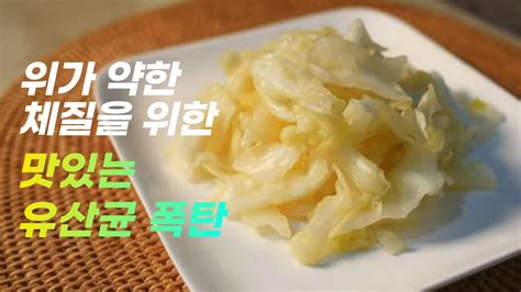 사우어크라우트 유산균폭탄 다이어트 최강 독일식 양배추김치 금체질 토체질 발효 음식 Youtube