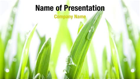 Green Grass Powerpoint Templates Green Grass Powerpoint Backgrounds