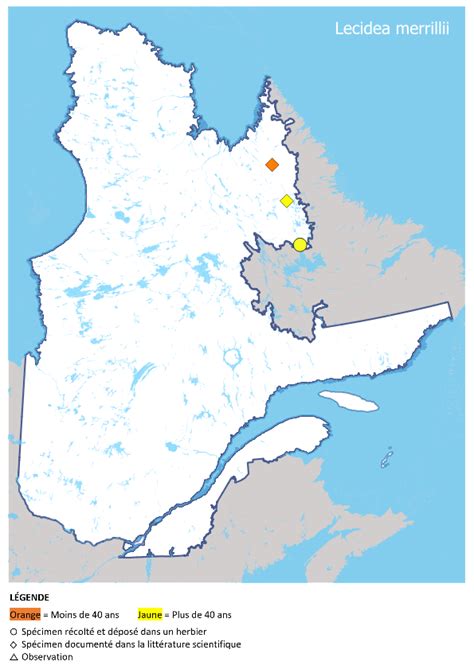 Lecidea Merrillii Lichens Québec
