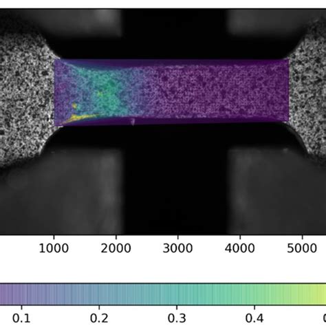 Dimensions Of The Miniature Tensile Test Specimen All Of The