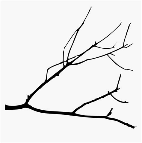 Transparent Tree Limb Png Tree Branches Drawing Png Png Download Transparent Png Image