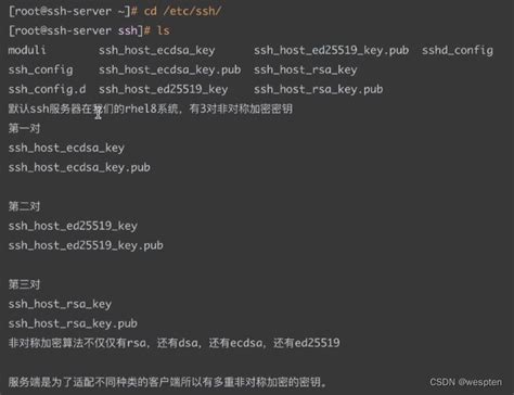 linux安装与配置ssh服务 wespten的博客 csdn博客 安装ssh服务