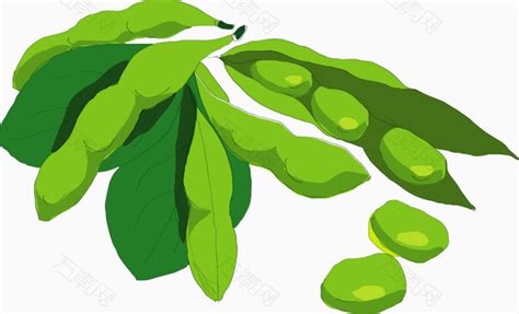 毛豆卡通简笔画 毛豆简笔画卡通画 伤感说说吧