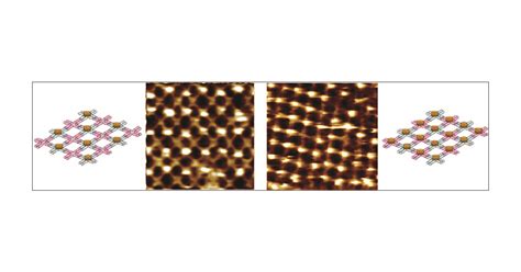 Programmable Dna Self Assemblies For Nanoscale Organization Of Ligands And Proteins Nano Letters