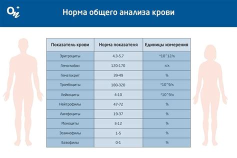 Розшифровка загального аналізу крові що означають показники Медпортал