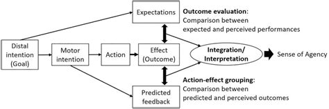 A Simplified Conceptual Model Of The Sense Of Agency Wen Et Al ³⁶ Download Scientific Diagram