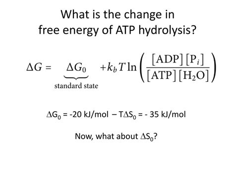 Hydrolysis Of Atp Equation
