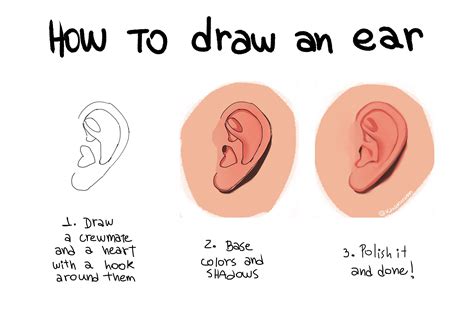 How To Draw An Ear Among Us Art Tutorials Know Your Meme