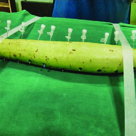 Raw Materials Needed Include The Bottle Gourd Cotton Pledgets