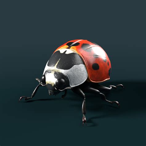 Lady Bug 3d Model 3d Model Turbosquid 2337667