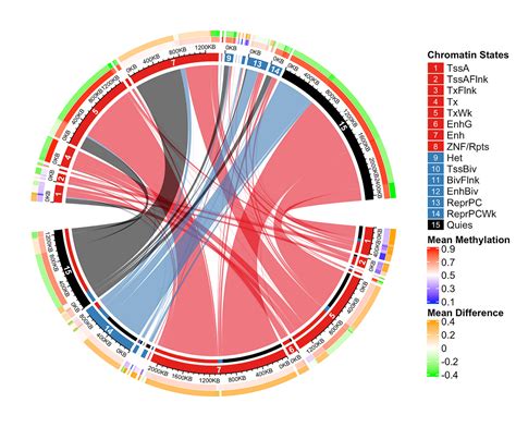 How To Create A Chord Diagram And Add Legends In R By Timxymo Medium