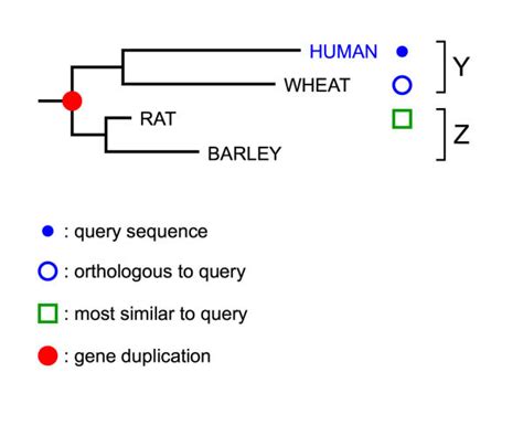 Over Annotation Due To Unequal Rates Of Evolution Sequence Similarity