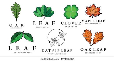 1085 Catnip Stock Vectors And Vector Art Shutterstock