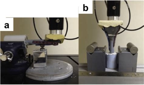 A Photograph Of The Cyclic Loading Test Procedure In Posterior Bending Download Scientific