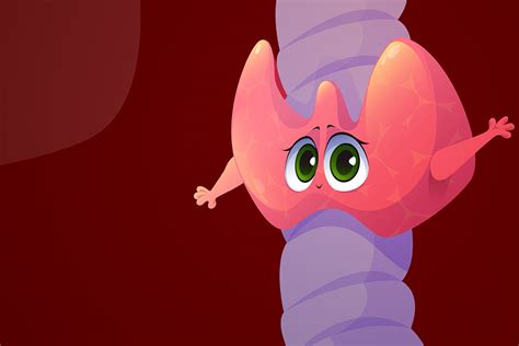 غده تیروئید چیست؟ عملکرد تیرویید به زبان ساده آسان تست