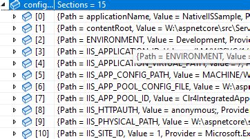 Add Equivalent Of HttpRuntime AppDomainAppId Available At All Times When Hosted In IIS Issue