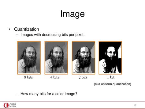 Images Display Perception Ppt Download