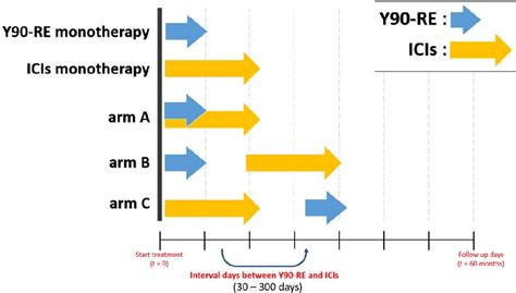 Figure 1 From Modeling The Synergistic Impact Of Yttrium 90