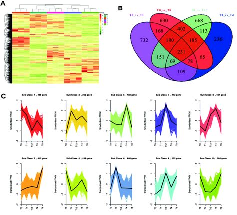Cluster Analysis Of Gene Expression A Extract The Fpkm Expression Of Download Scientific