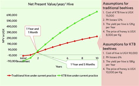 NPV In Current Scenario Source Primary Data 2020 Download Scientific Diagram