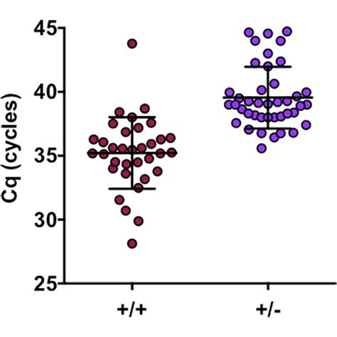 Book Aspergillus Fumigatus Dna Detector Test Price In Delhi India Ganesh Diagnostic
