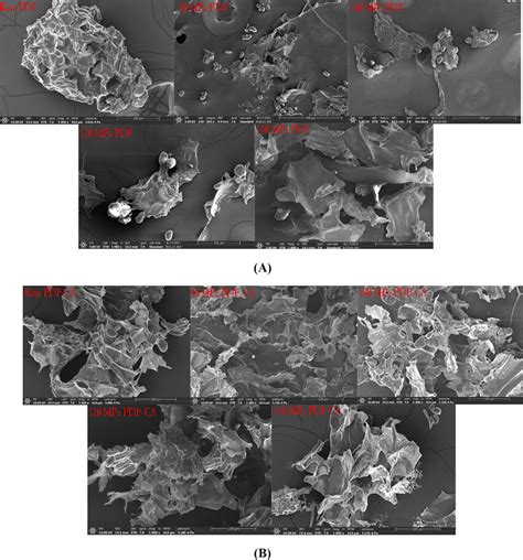 Effects Of Dynamic High Pressure Microfluidization On Microstructure Of Download Scientific