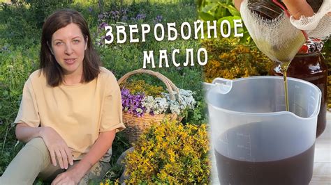 Зверобойное масло - изготовление - YouTube