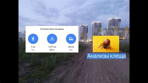 Думал сдохну от клеща, но зря радовался. - YouTube