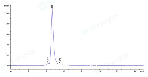 Recombinant Niv Glycoprotein G Protein 40980 V08h Sino Biological