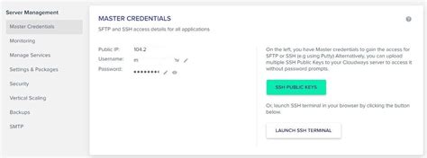 Why Choose Cloudways Managed Hosting For A Magento Store