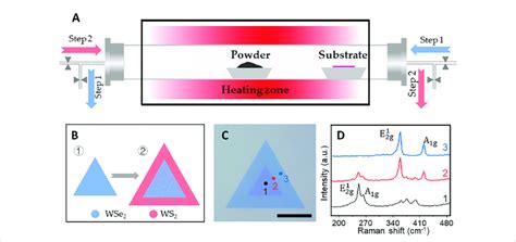 Cvd Synthesis Strategy For Monolayer Wse 2 Growth And Ws 2 Epitaxial