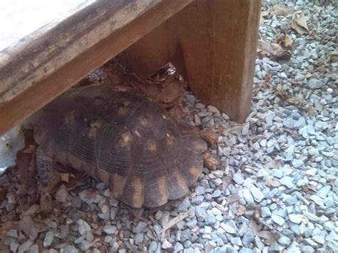 Νηπιαγωγείο το πρώτο μου σχολείο Χειμερία νάρκη