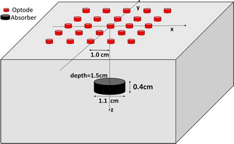 Schematic Diagram Of The Experimental Setup The Optode Array Is A Download Scientific Diagram