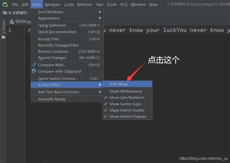 解决使用pycharm写文件时不会自动换行的问题pycharm粘贴代码不自动换行 Csdn博客