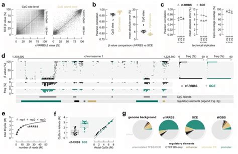 Methylation Profiling With Cf Rrbs Is Accurate A Methylation Profile
