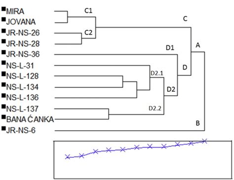 upgma dendrogram based on rapd data of the tested varieties download