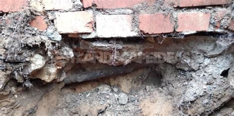 Can The Roots Of A Tree Destroy The Foundation Of A House