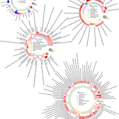 The Microbiome Mediates The Diets Effect Each Alluvial Plot Shows