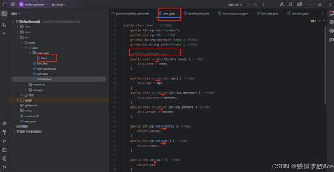第44天：web开发 Javaee应用and反射机制and类加载器and利用链and成员变量and构造方法and抽象方法安全开发 Javaee应用and反射机制and攻击链and类对象and成员变量方法and构造方法 Csdn博客